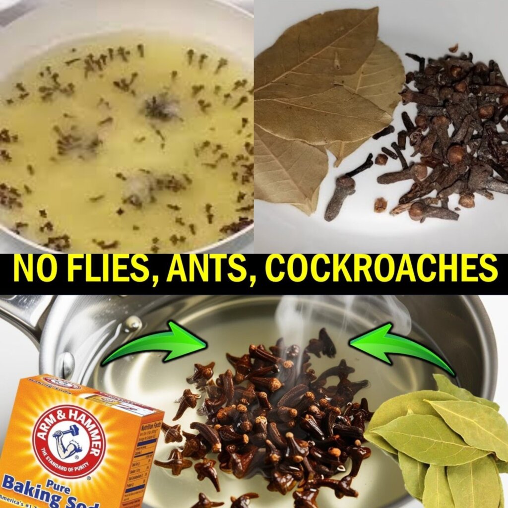 Natural Ways To Get Rid Of Insects With Clove, Baking Soda, And Bay ...