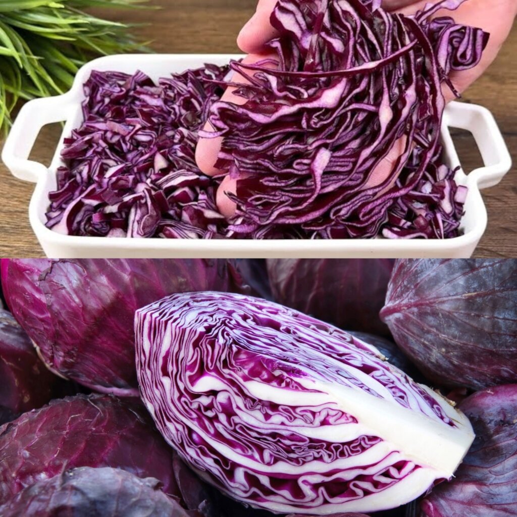 Put An End To Blood Sugar Issues A True Gem For Your Health Is Red Cabbage