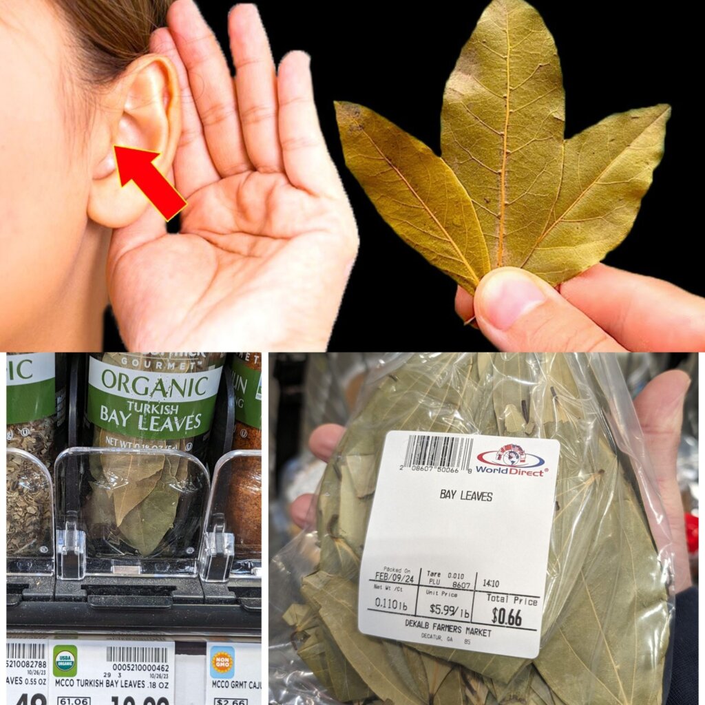 Labyrinthitis & Noise In The Ears Will Disappear