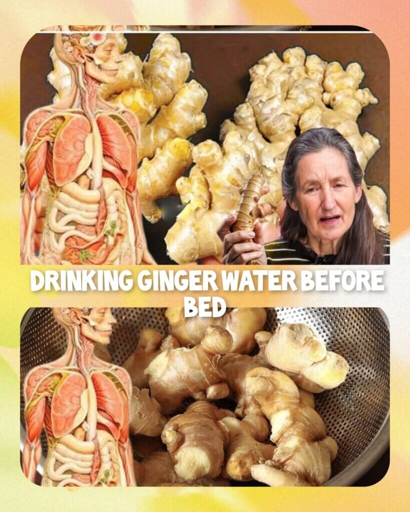 Noty Cheese - Healthy And Delicious Recipes 😋